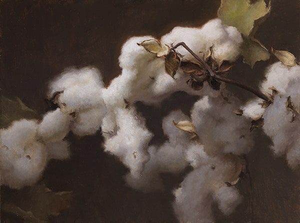 Grace Devito Mentorship - Mastrius